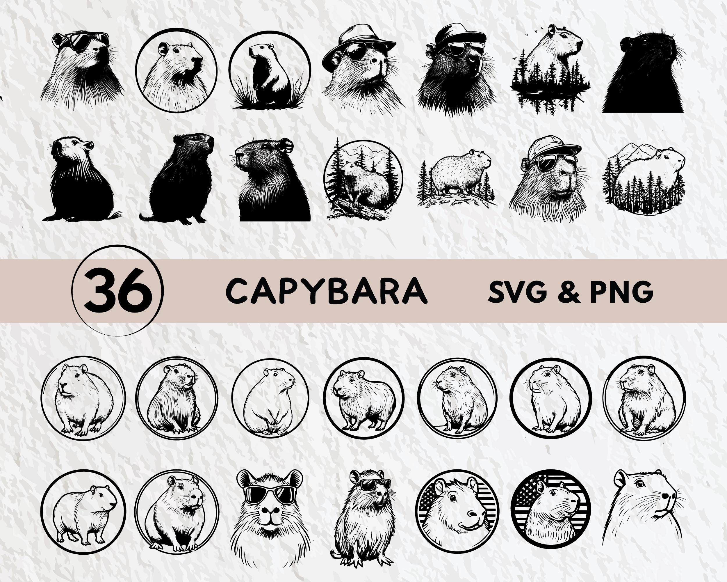 Capybara SVG Bundle: Silhouette Clipart, Logo Icon (PNG, Cricut Files ...