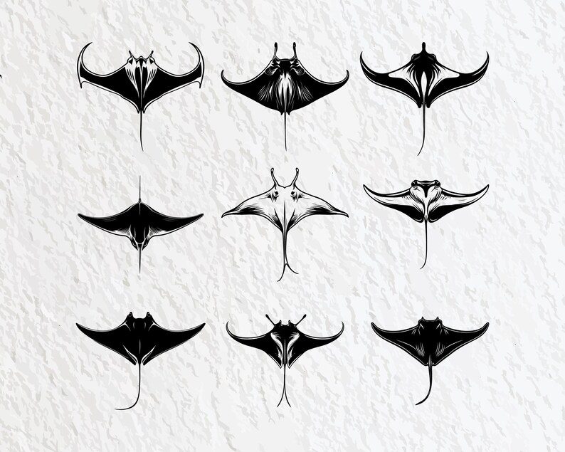 Manta Ray SVG Bundle: Silhouette Clipart, Logo Icon (PNG, Vector) - Etsy