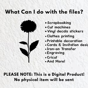 Calendula Flower SVG Bundle: Silhouette, Clipart, Vector (PNG, Cricut ...