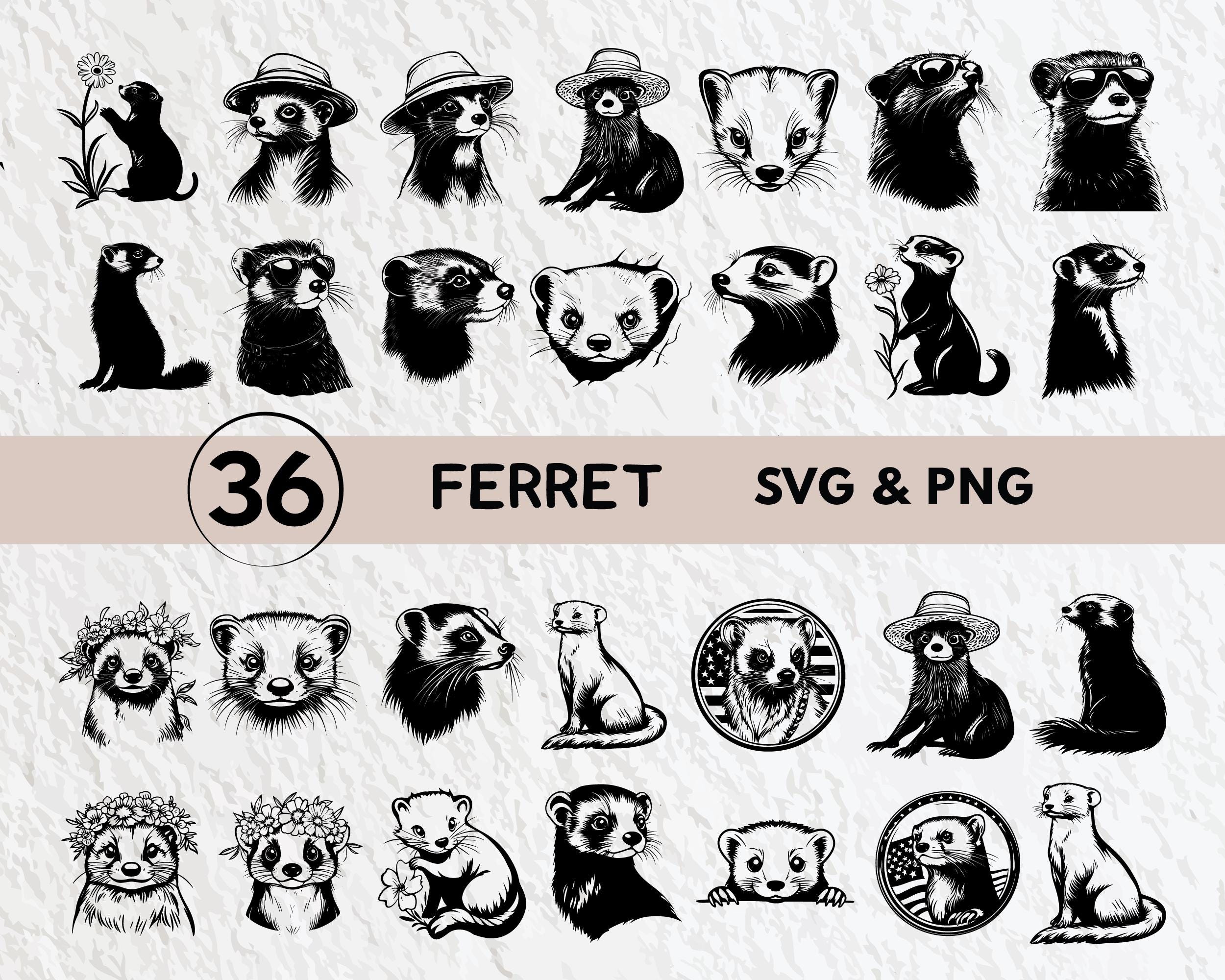 Ferret SVG Bundle: Silhouette Clipart, Vector Cut Files (PNG) - Etsy