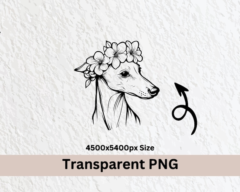 Whippet SVG Bundle: Dog Silhouette Clipart, Cricut Decal (digital ...