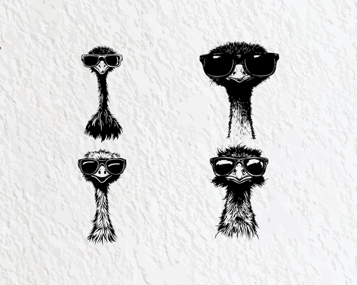 Emu Svg Bundle, Emu Silhouette, Emu Clipart Png, Emu Outline, Emu ...