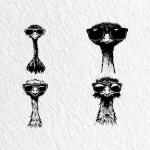Emu Svg Bundle, Emu Silhouette, Emu Clipart Png, Emu Outline, Emu ...