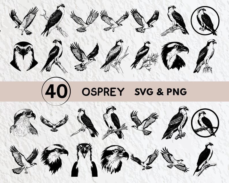 Osprey Svg Bundle, Osprey Silhouette, Osprey Clipart Png, Osprey ...