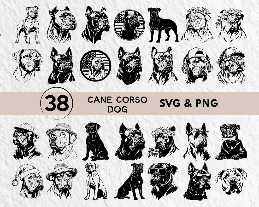 Cane Corso Dog Svg Bundle, Cane Corso Dog Silhouette, Cane Corso Dog ...