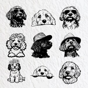 Cockapoo Dog Svg Bundle, Cockapoo Dog Silhouette, Cockapoo Dog Clipart ...