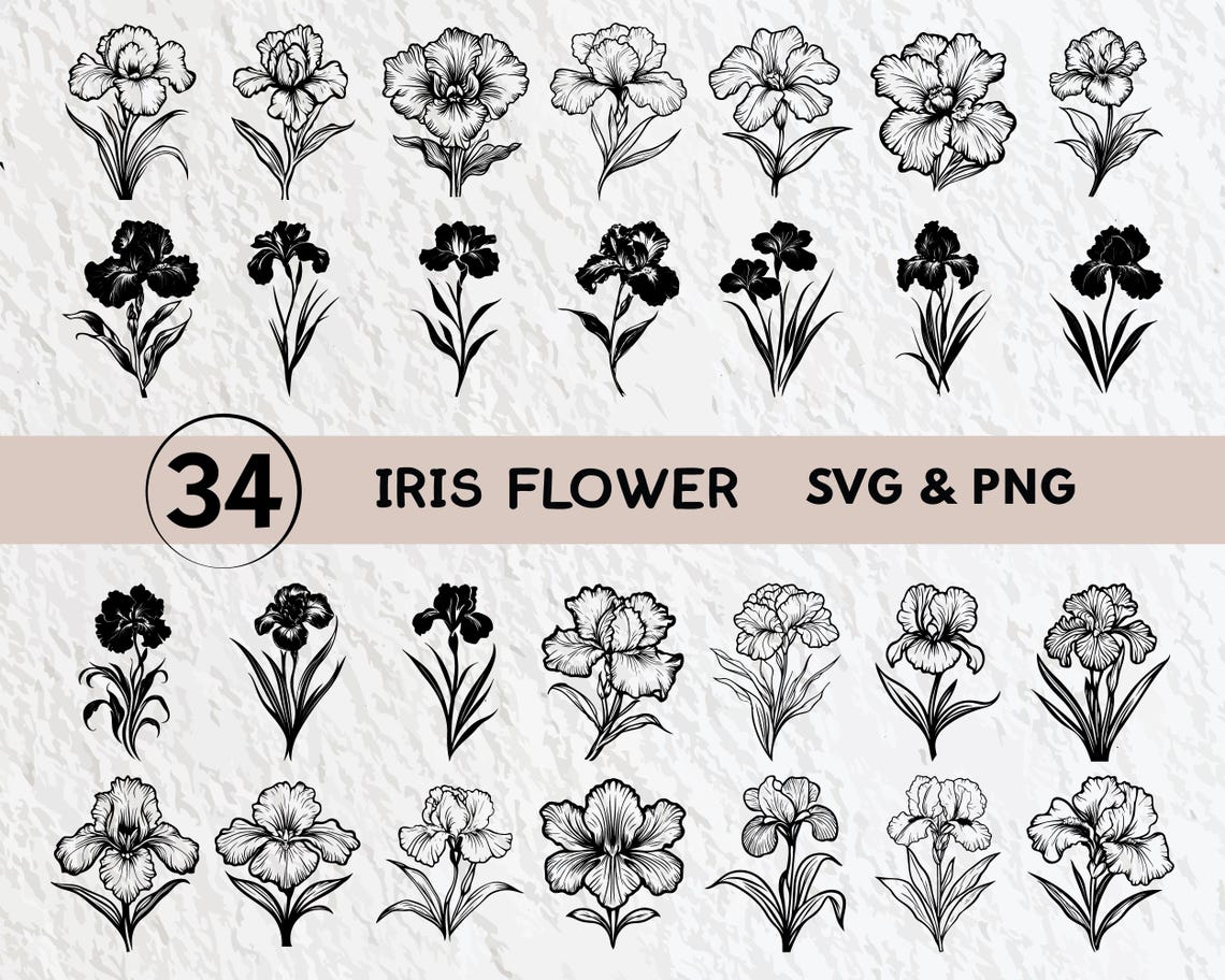 Iris Flower SVG Bundle: Silhouette, Clipart, Vector (digital Download ...