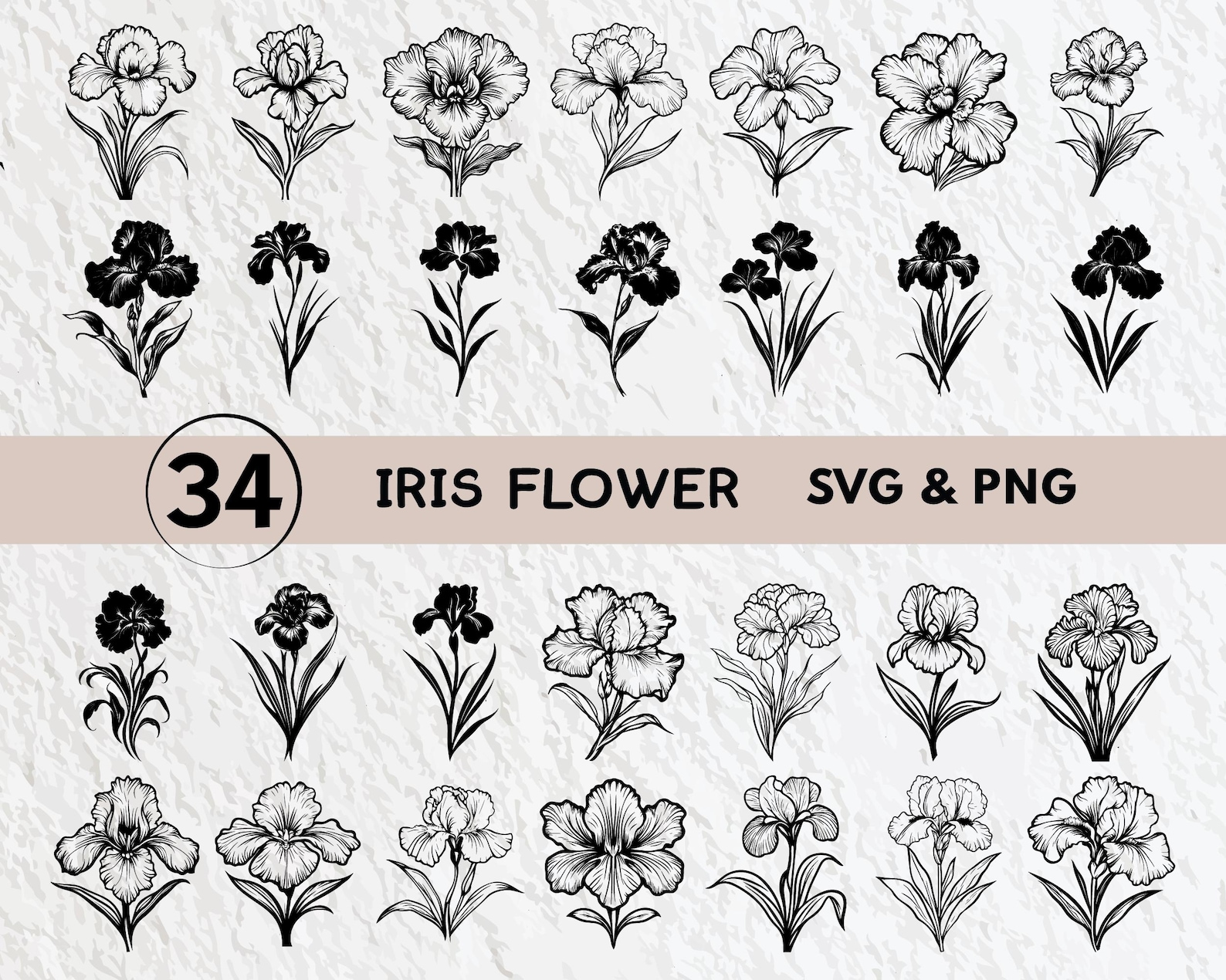 Iris Flower Svg Bundle, Iris Flower Silhouette, Iris Flower Clipart Png ...