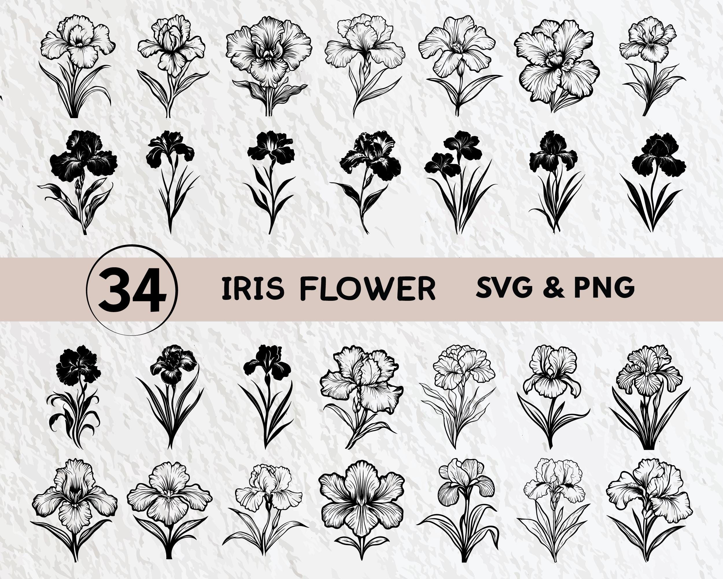 Iris Flower Svg Bundle, Iris Flower Silhouette, Iris Flower Clipart Png ...