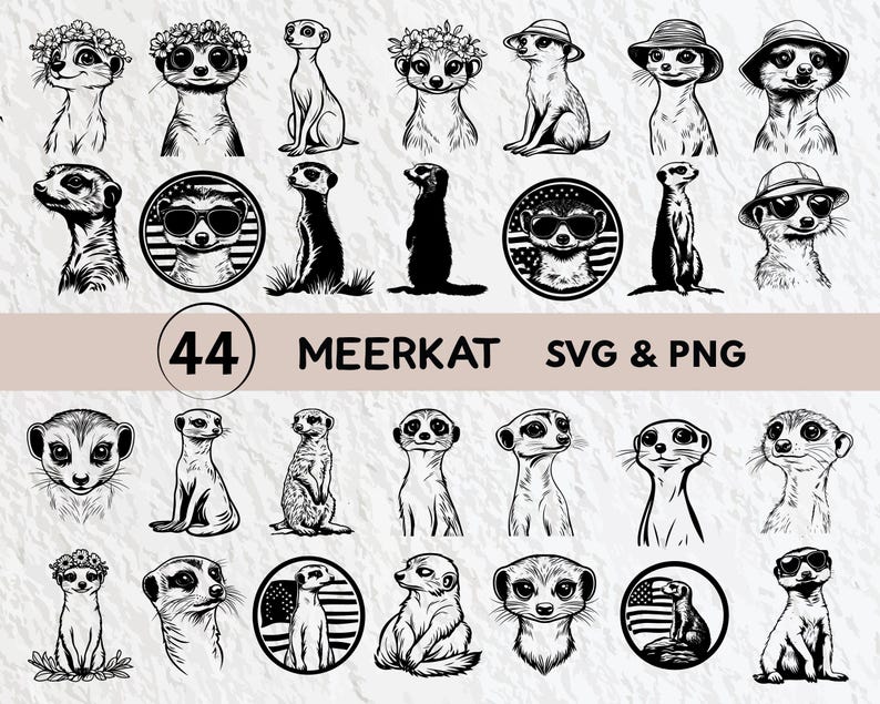 Meerkat Svg Bundle, Meerkat Silhouette, Meerkat Clipart Png, Meerkat ...