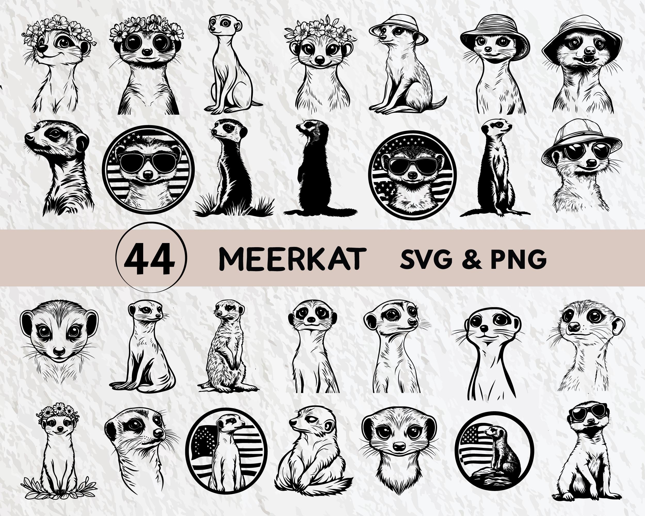 Meerkat Svg Bundle, Meerkat Silhouette, Meerkat Clipart Png, Meerkat ...