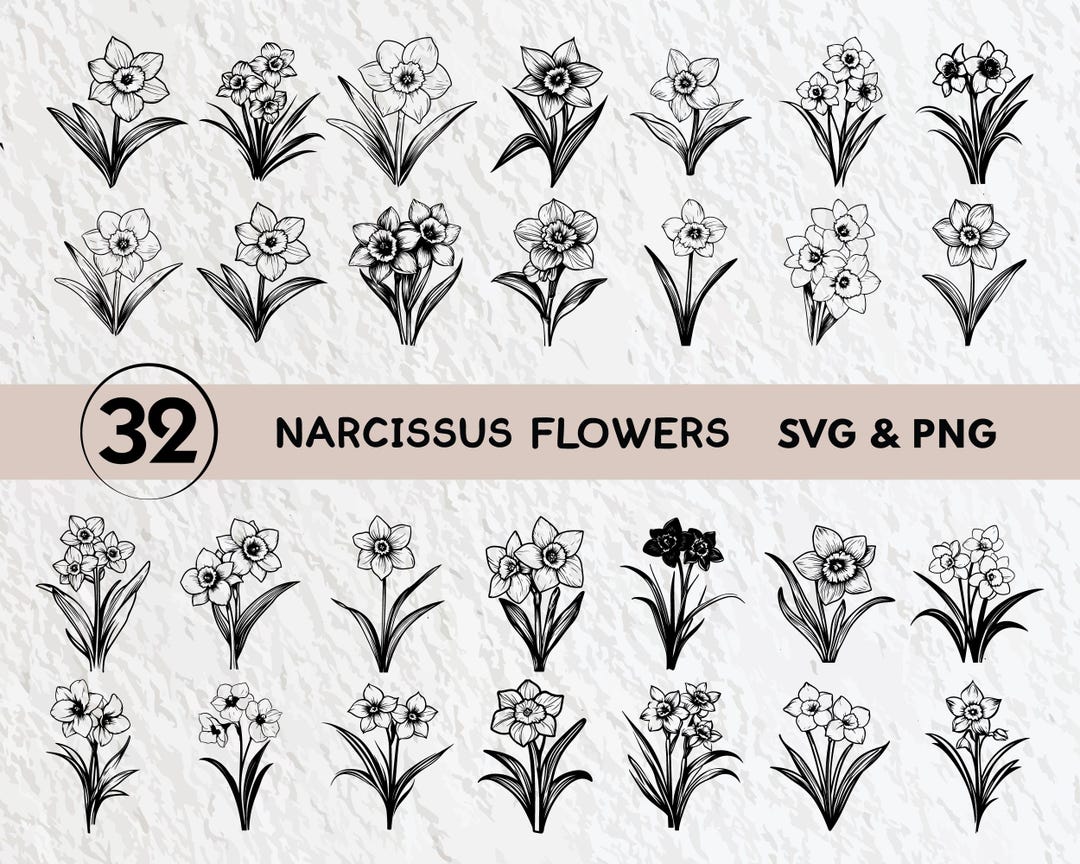 Narcissus Flower SVG Bundle: Floral Clipart, Vector Cut Files - Etsy