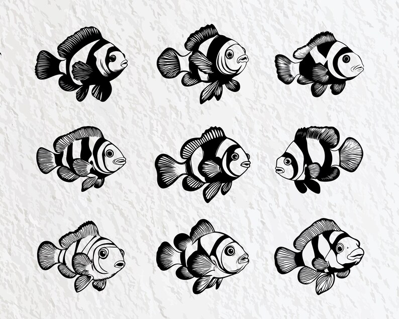 Clownfish SVG Bundle: Silhouette Clipart, Cricut Cut Files (PNG, Vector ...