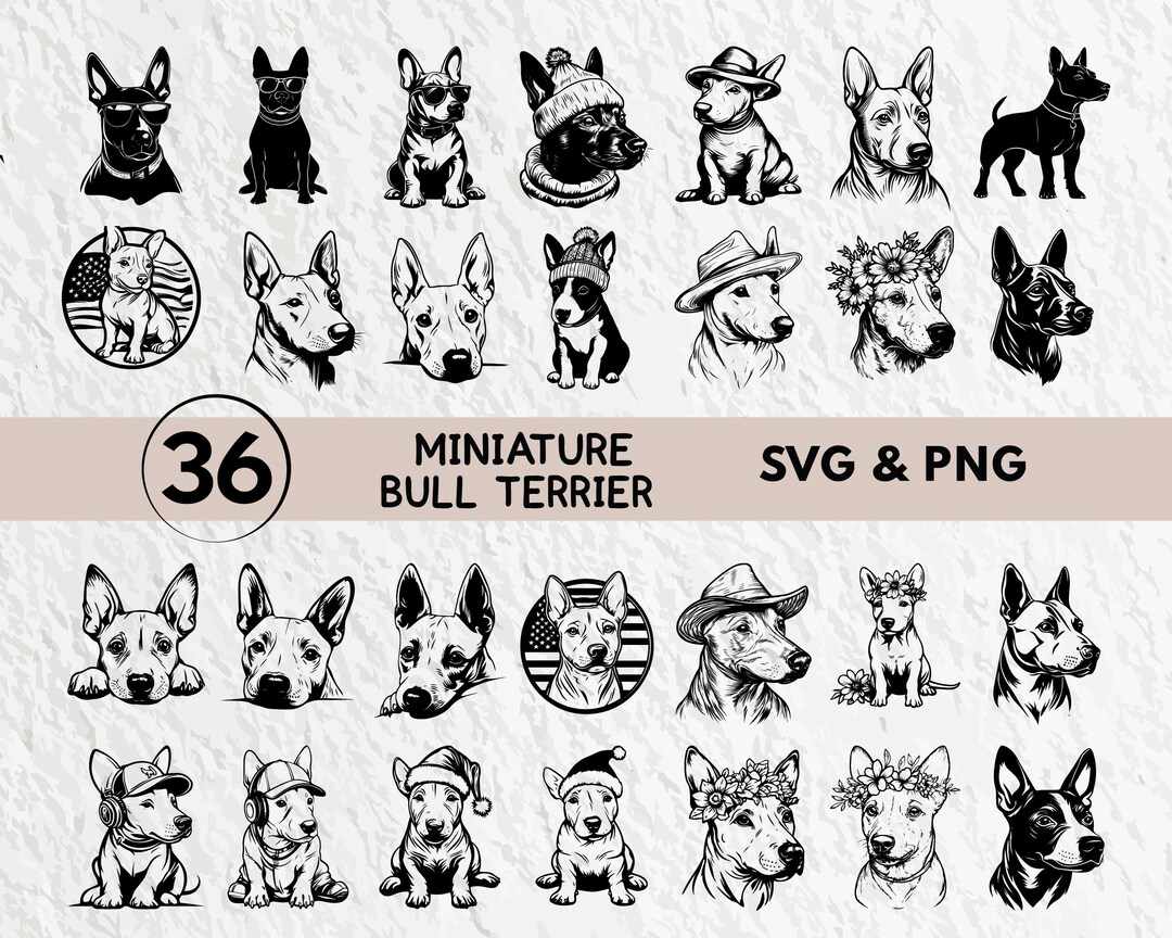 Miniature Bull Terrier SVG Bundle: Dog Clipart, Silhouette, Icon (PNG ...