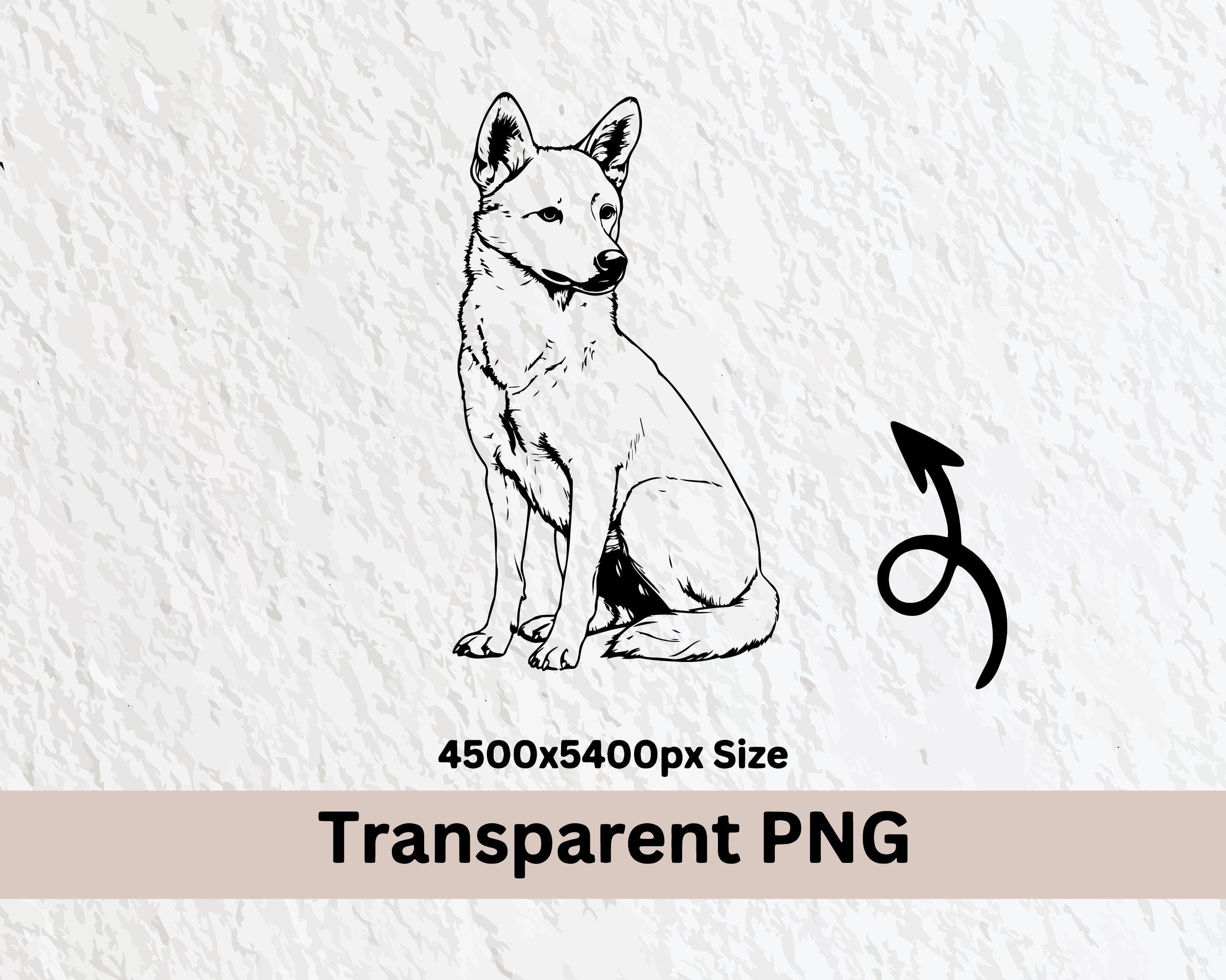 Dingo Dog Silhouette Svg, Dingo Dog Svg Bundle, Dingo Dog Clipart ...