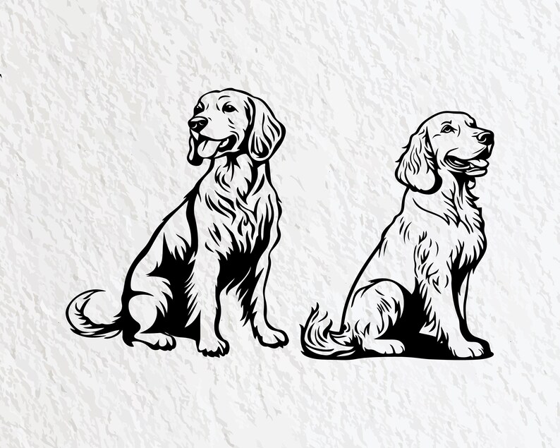 Irish Setter Svg Bundle, Irish Setter Silhouette, Irish Setter Clipart ...