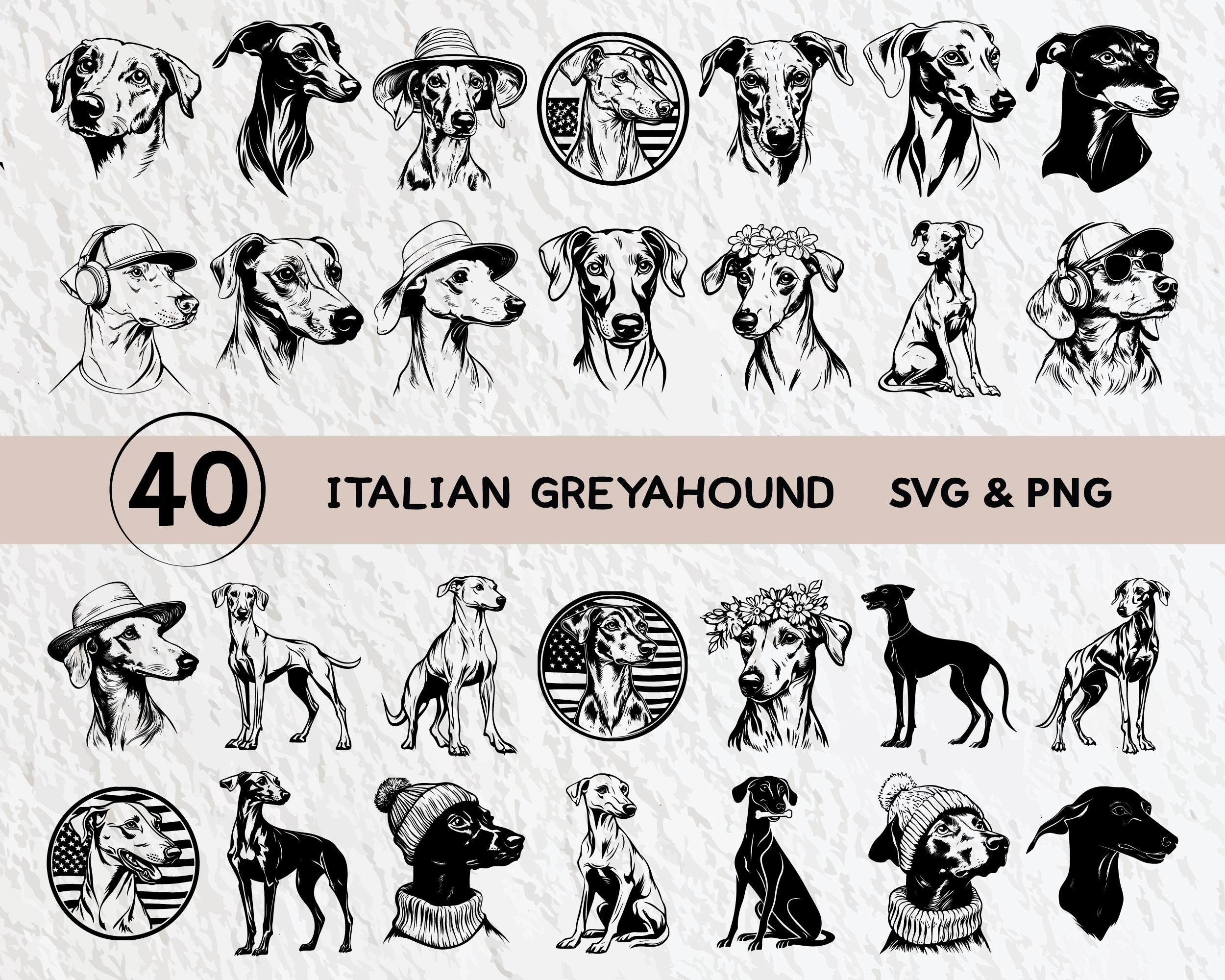 Italian Greyhound SVG Bundle: Silhouette Clipart, Logo Icon (PNG, SVG ...