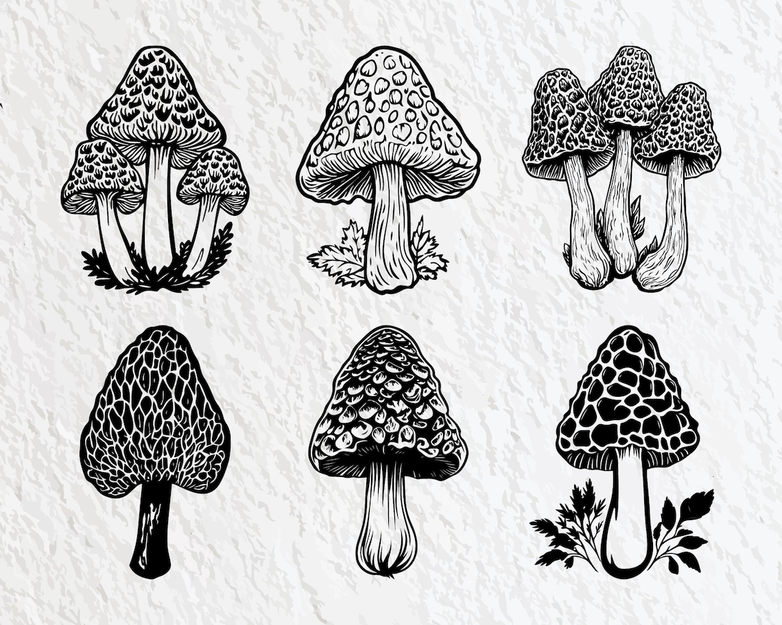 Morel Mushroom Svg Bundle, Morel Mushroom Silhouette, Morel Mushroom ...
