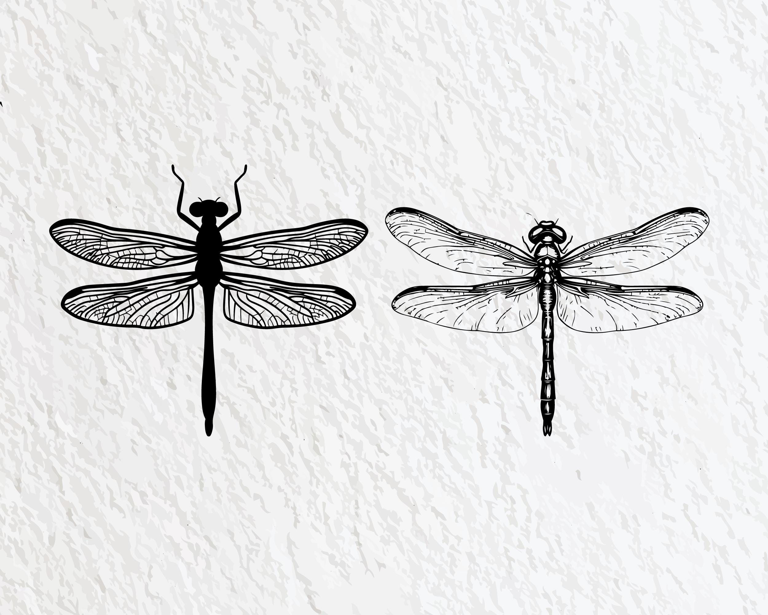 Dragonfly Svg Bundle, Dragonfly Silhouette, Dragonfly Clipart Png ...