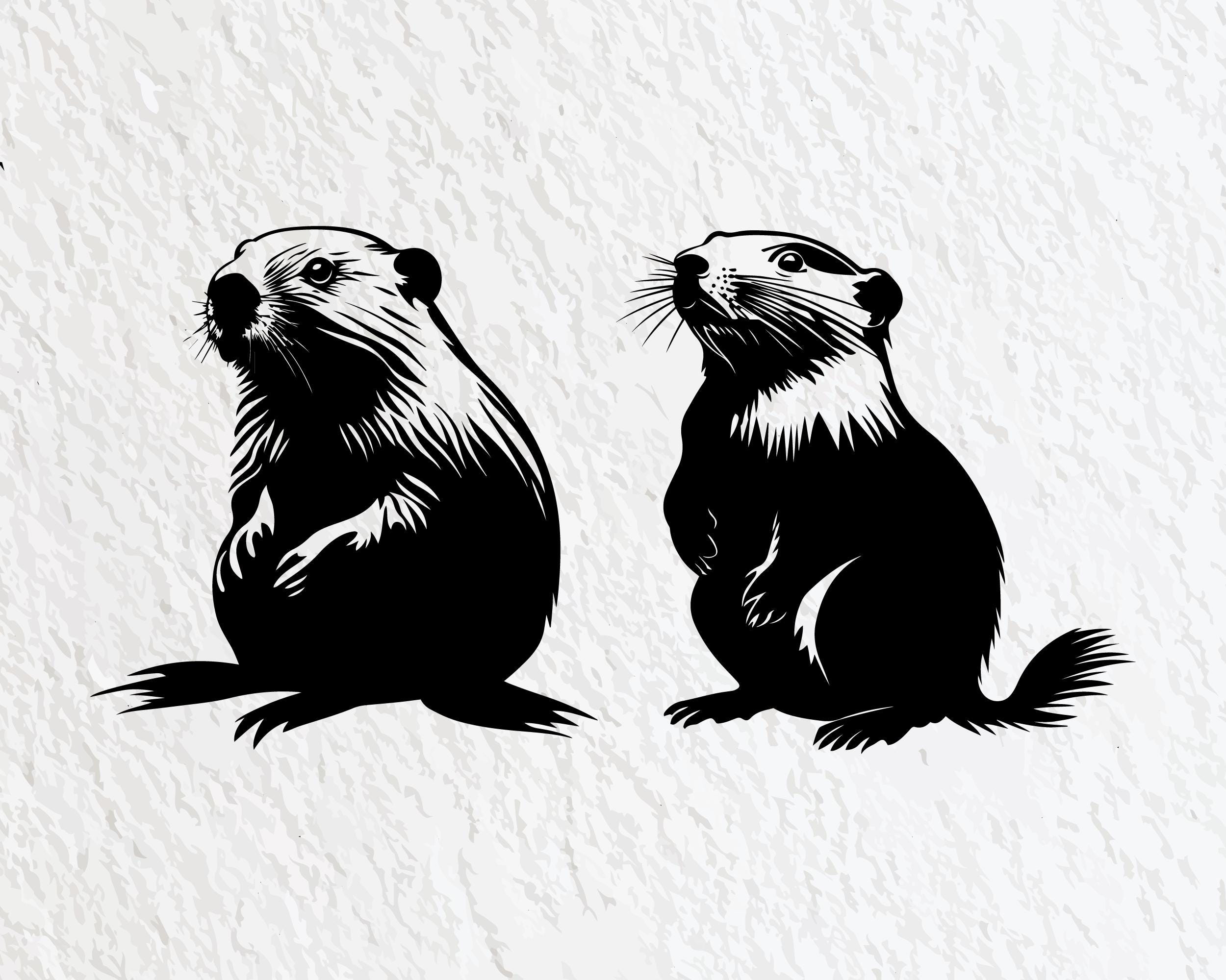 Beaver SVG Bundle: Silhouette Clipart, Vector Logo (PNG, Cricut Files ...