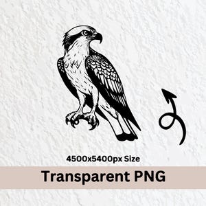 Osprey Svg Bundle, Osprey Silhouette, Osprey Clipart Png, Osprey ...