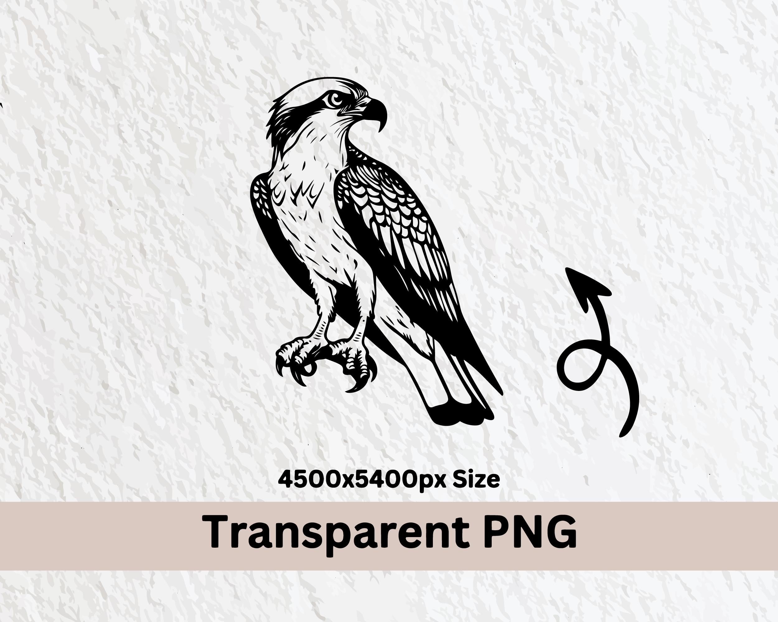 Osprey SVG Bundle: Silhouette Clipart, Vector Logo (PNG, Cricut Files ...