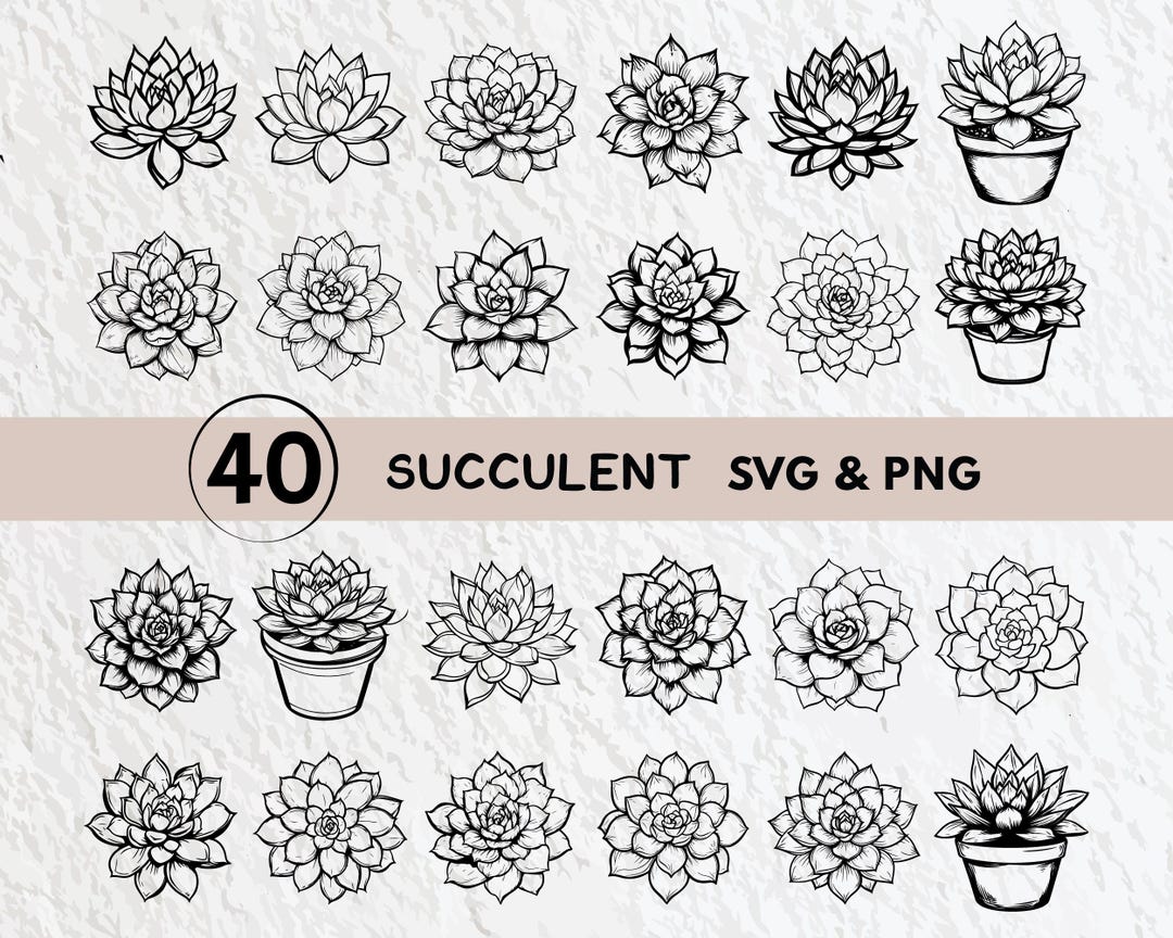 Succulent SVG Bundle: Silhouette Clipart, Logo & Icon (PNG, Vector) - Etsy