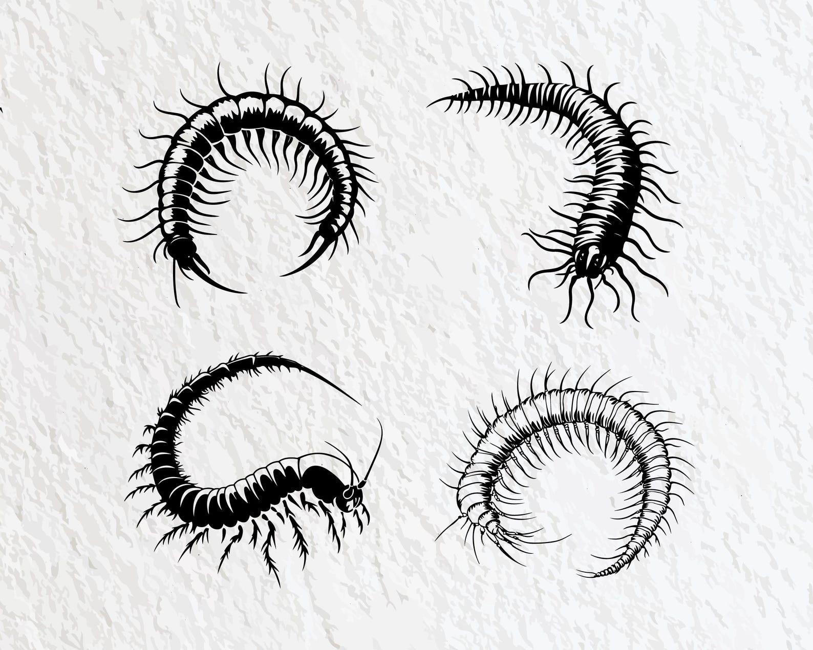 Centipedes SVG Bundle: Silhouette, Clipart, Vector (digital Download ...