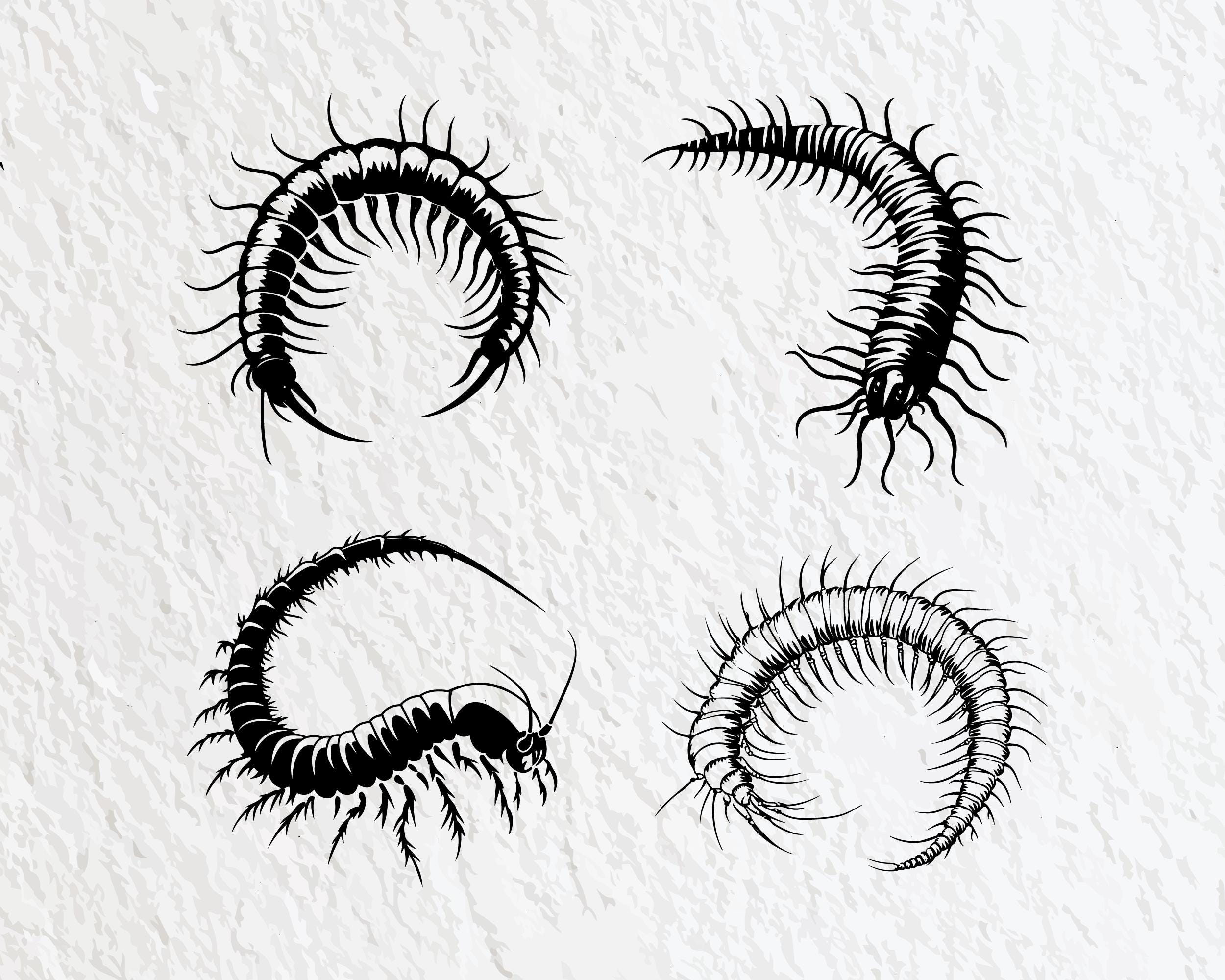 Centipedes SVG Bundle: Silhouette, Clipart, Vector (digital Download ...