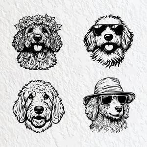 Sheepadoodle Dog SVG Bundle: Clipart, Silhouette, Vector (PNG, Cut ...
