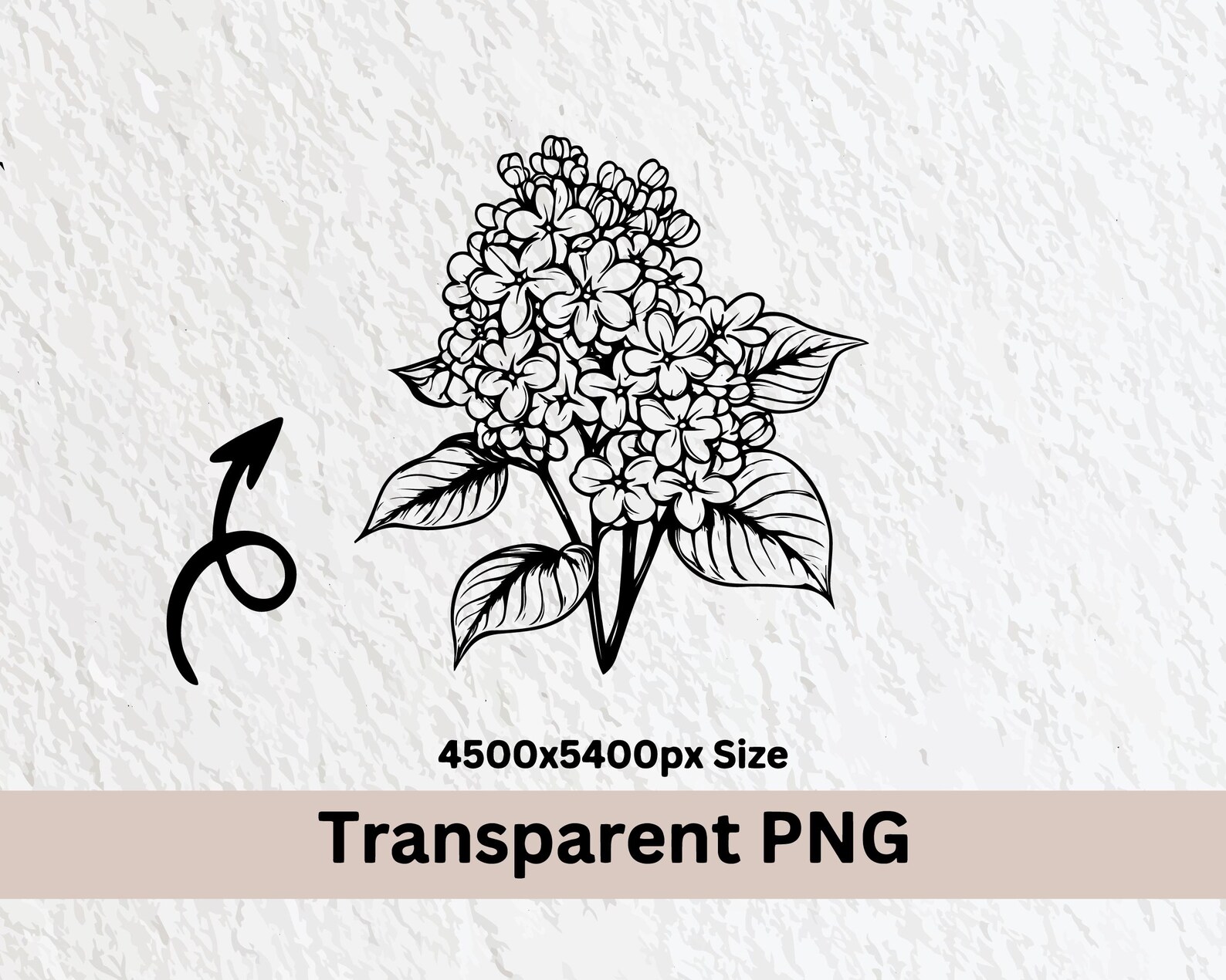 Lilac Flowers SVG Bundle: Floral Clipart, Vector Icon (digital Download ...