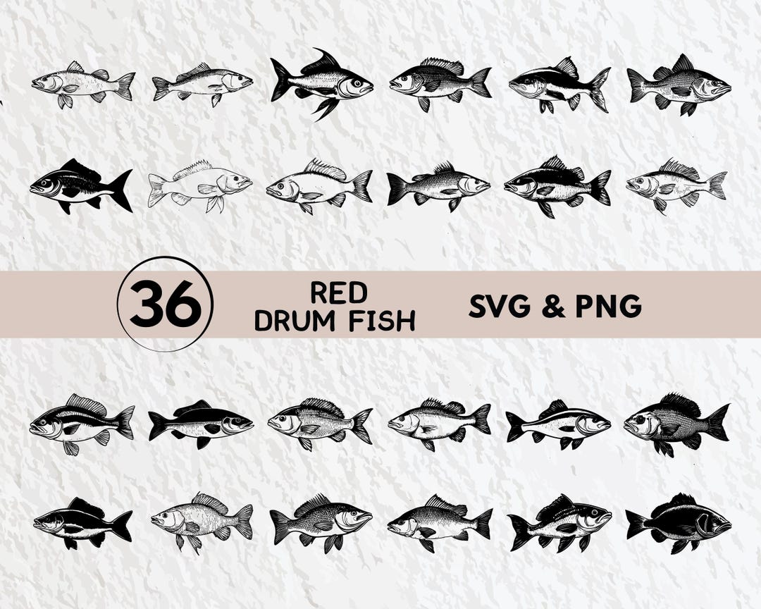 Red Drum Fish Svg Bundle, Red Drum Fish Silhouette, Red Drum Fish ...