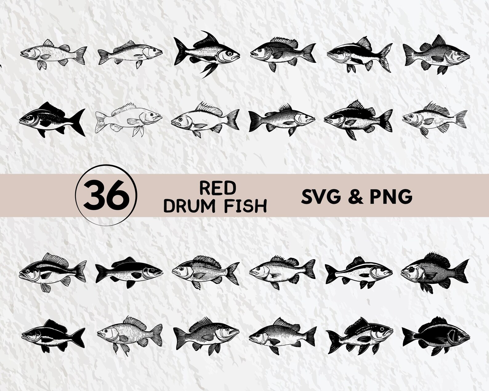 Red Drum Fish Svg Bundle, Red Drum Fish Silhouette, Red Drum Fish ...