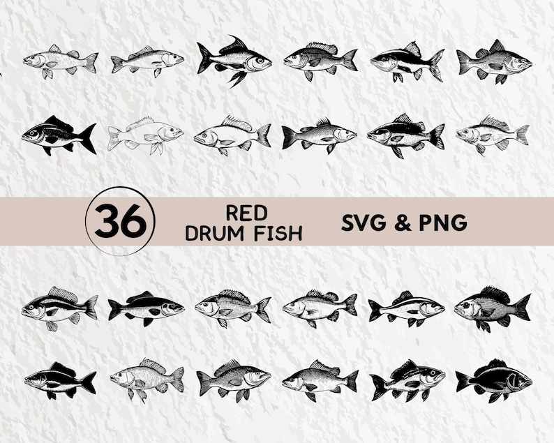 Red Drum Fish Svg Bundle, Red Drum Fish Silhouette, Red Drum Fish ...