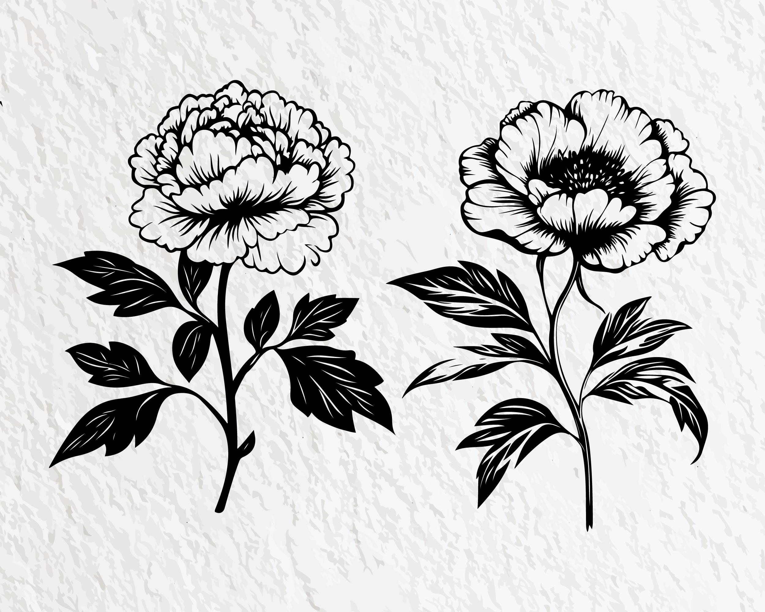 Peony Flower SVG Bundle: Floral Clipart, Vector Logo Icon (PNG, SVG) - Etsy
