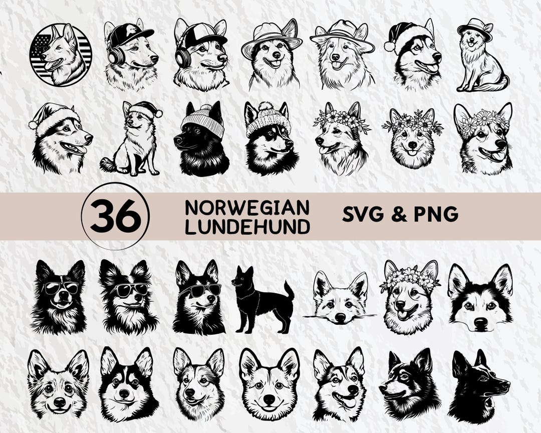 Norwegian Lundehund Dog Svg Bundle, Norwegian Lundehund Silhouette ...