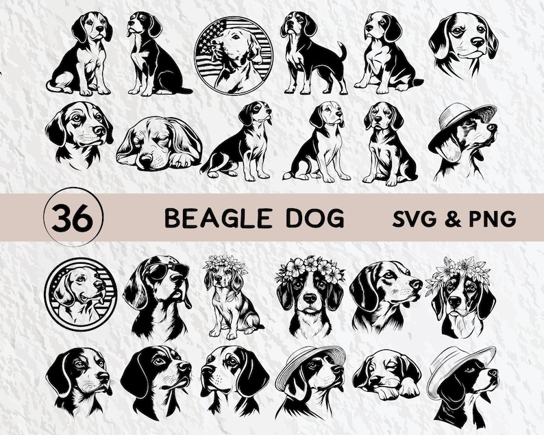 Beagle Dog Silhouette Bundle Png, Beagle Dog Cut Files, Beagle Dog Clipart Png, Beagle Dog Svg ...
