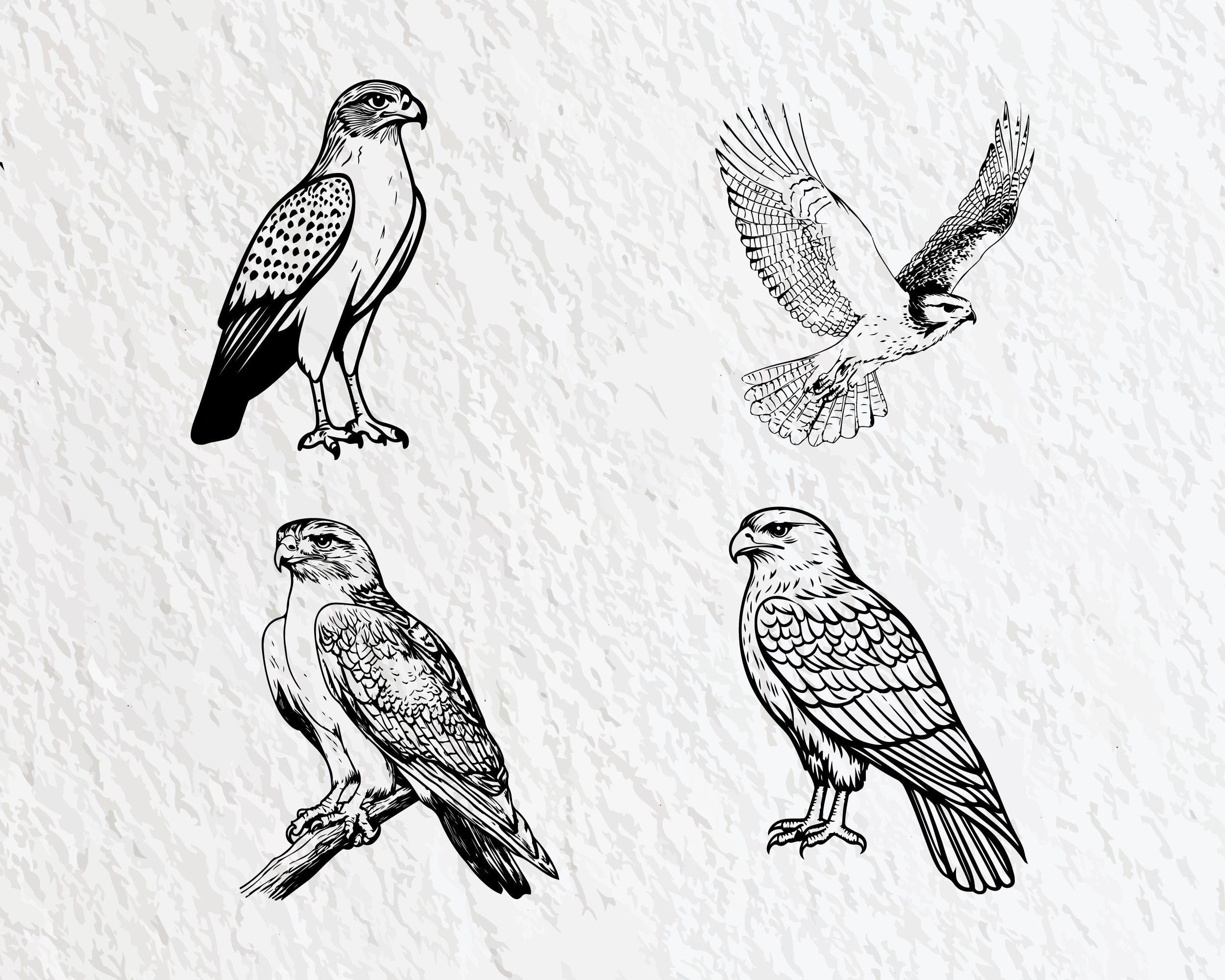 Hawk Svg Bundle, Hawk Silhouette, Hawk Clipart Png, Hawk Outline, Hawk ...