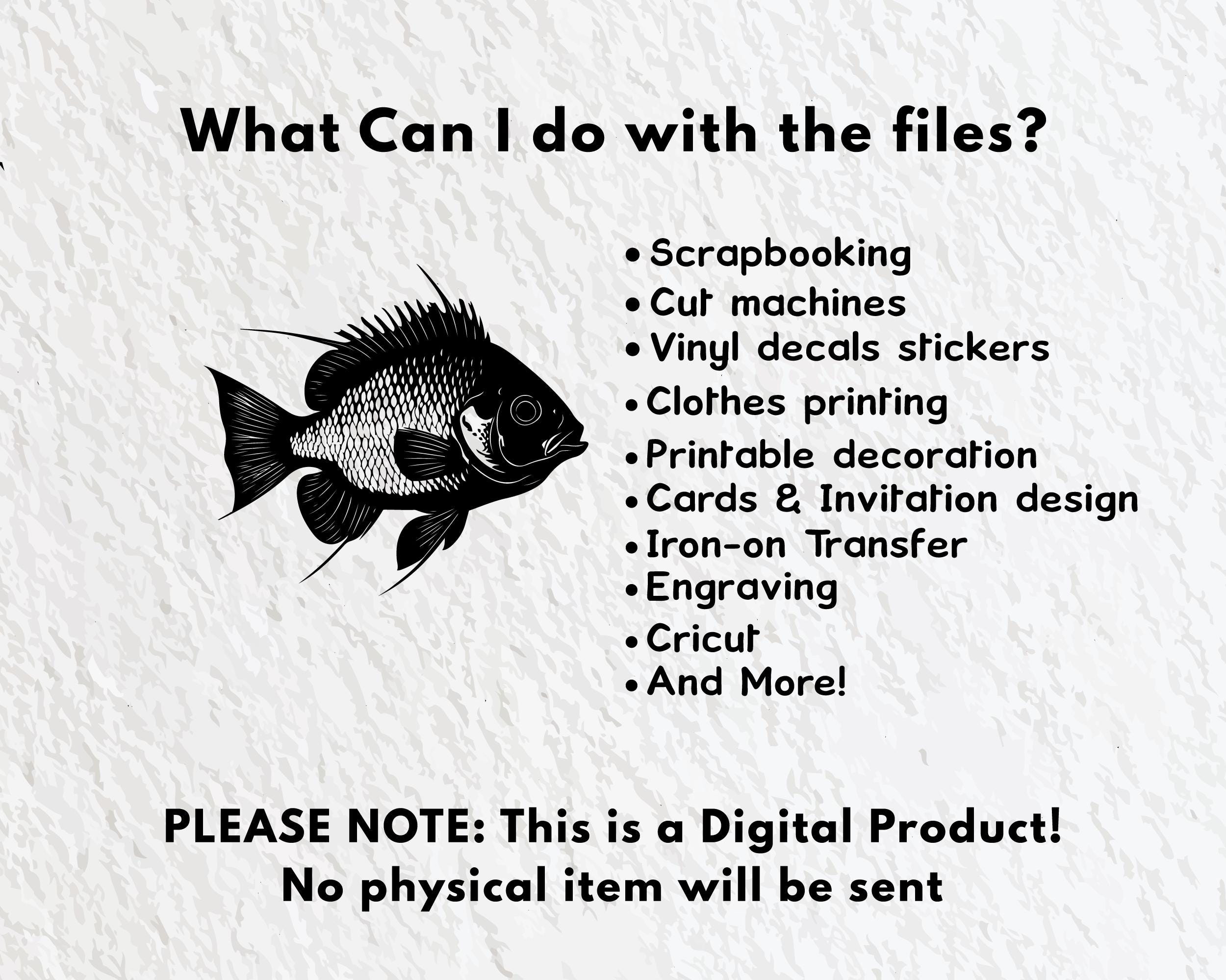 Bluegill SVG Bundle: Fish Silhouette Clipart, Cricut Decal Files - Etsy