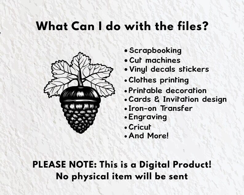 Acorn SVG Bundle: Silhouette Clipart, Vector Cut Files (PNG) - Etsy