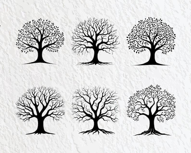 Oak Tree SVG Bundle: Silhouette Clipart, Logo Icon (PNG, Vector) - Etsy