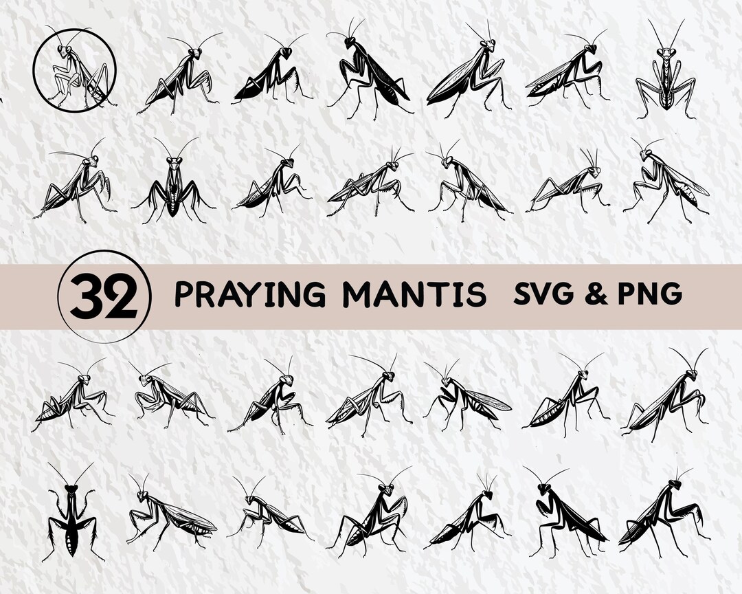 Praying Mantis Svg Bundle, Praying Mantis Silhouette, Praying Mantis ...