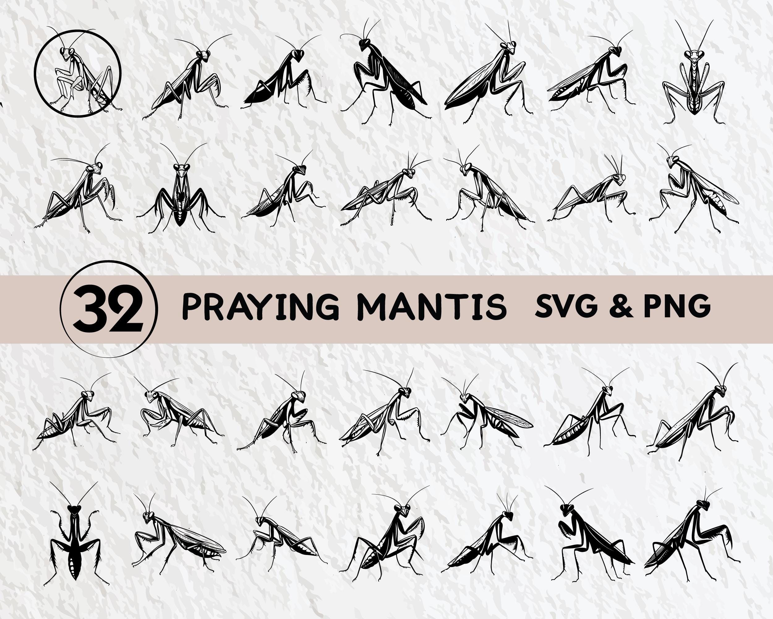 Praying Mantis Svg Bundle, Praying Mantis Silhouette, Praying Mantis Clipart, Praying Mantis ...