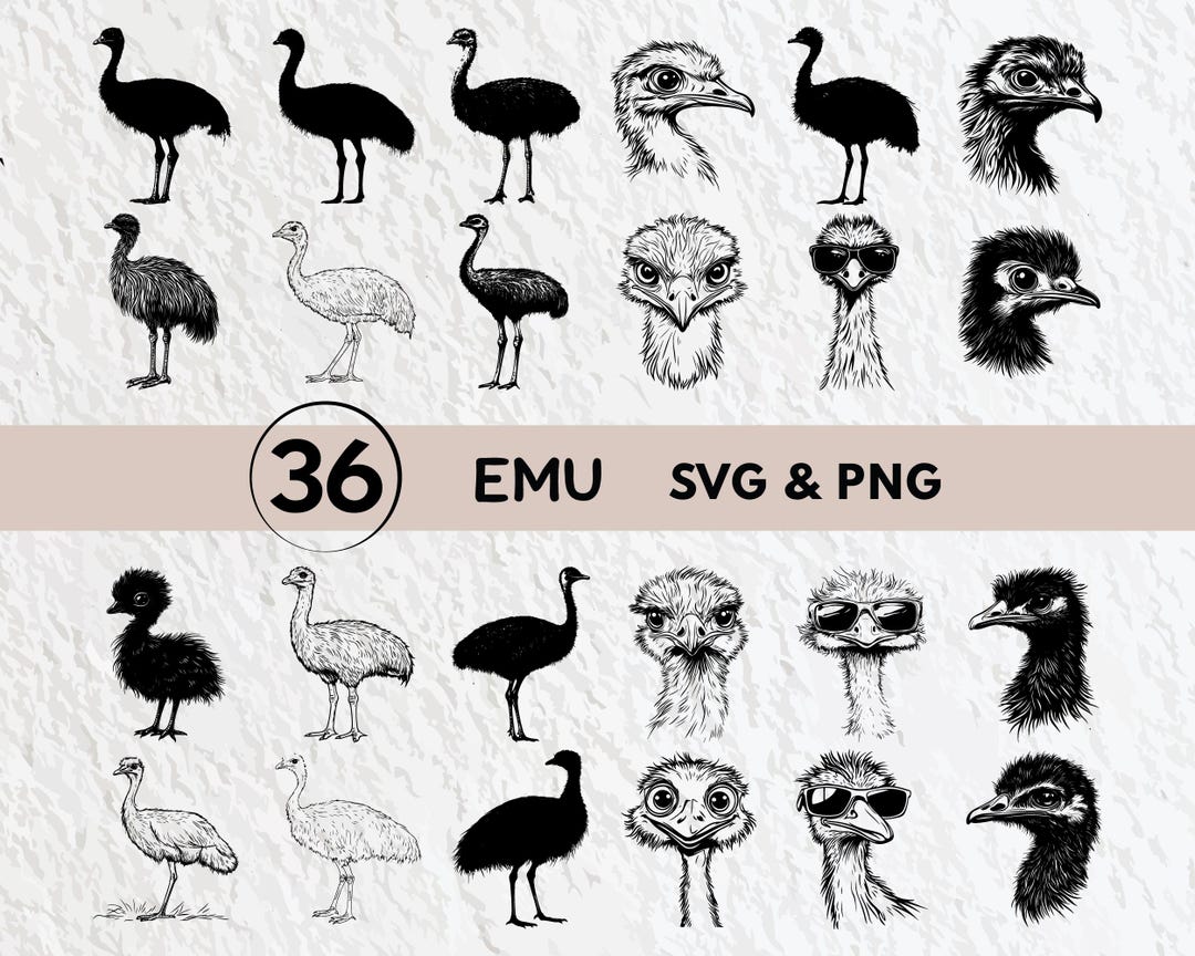 Emu Svg Bundle, Emu Silhouette, Emu Clipart Png, Emu Outline, Emu ...