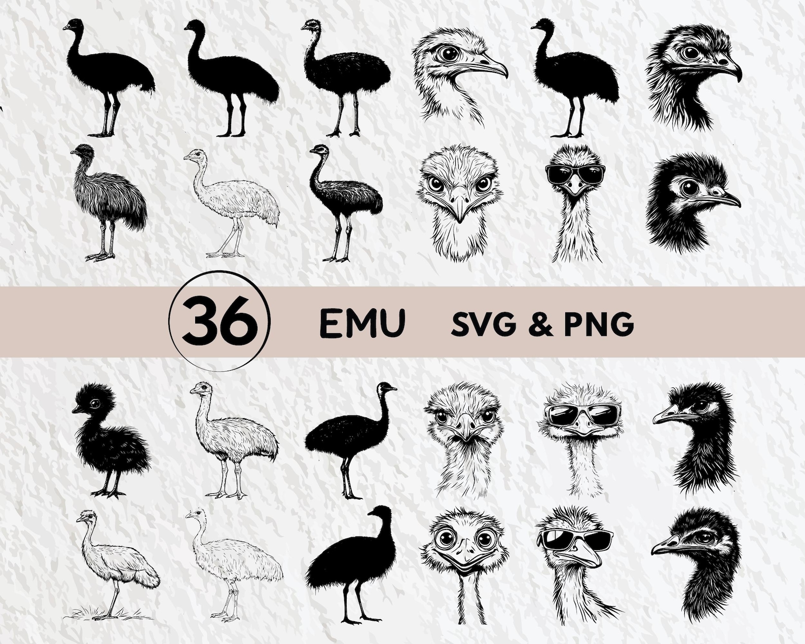 Emu Svg Bundle, Emu Silhouette, Emu Clipart Png, Emu Outline, Emu ...
