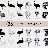 Emu SVG, Emu Design Svg, Emu Dxf, Emu Png, Emu Clipart, Emu Files, Eps ...