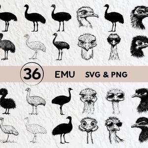 Emu Svg Bundle, Emu Silhouette, Emu Clipart Png, Emu Outline, Emu ...