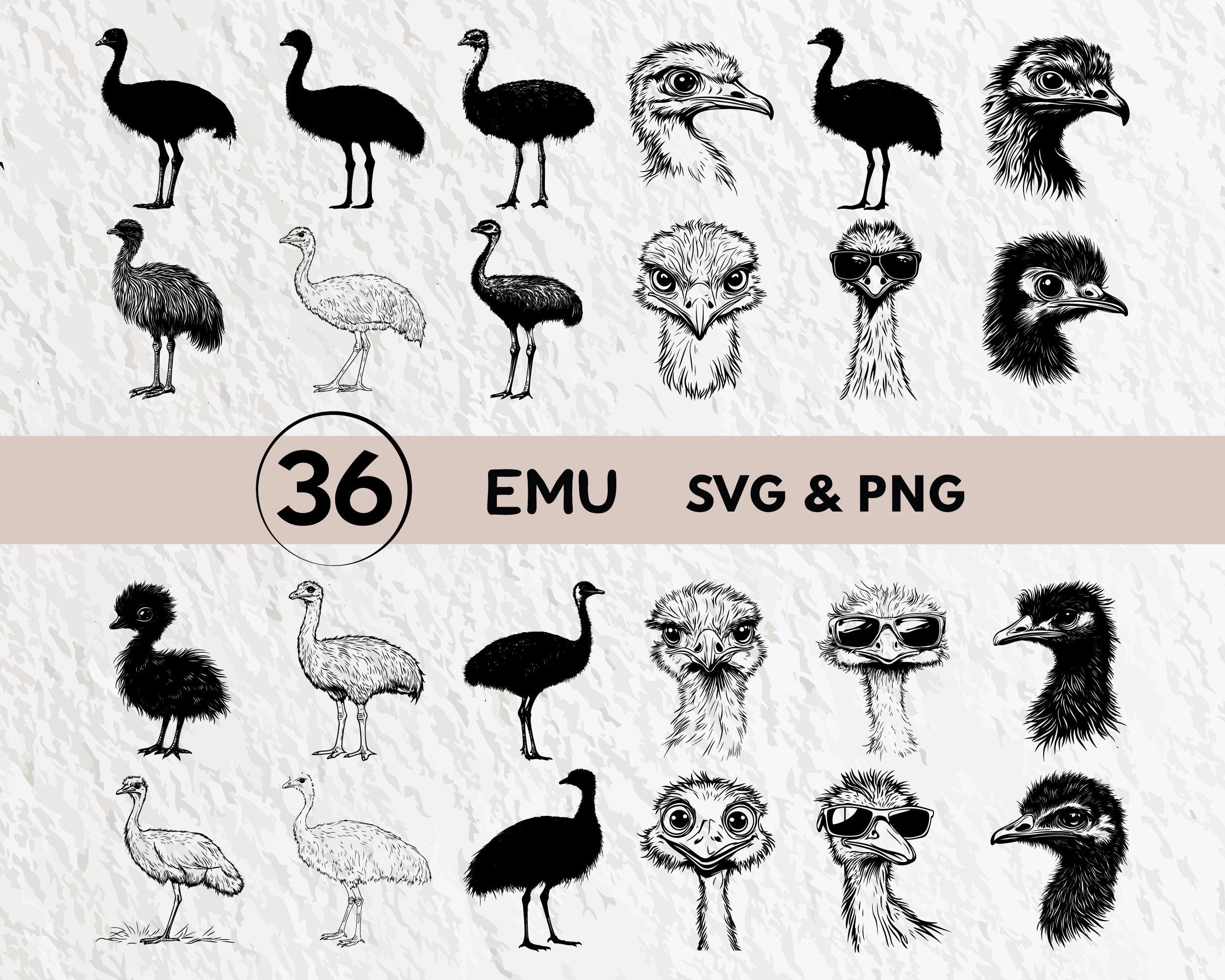 Emu Svg Bundle, Emu Silhouette, Emu Clipart Png, Emu Outline, Emu ...