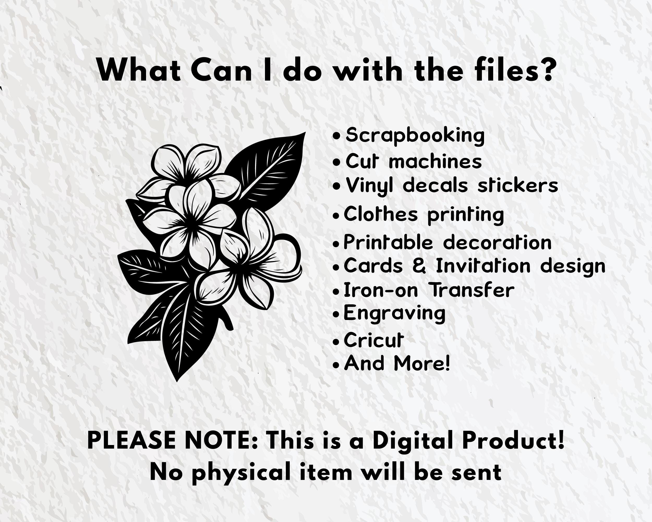 Plumeria SVG Bundle: Floral Silhouette Clipart (PNG, Vector) - Etsy