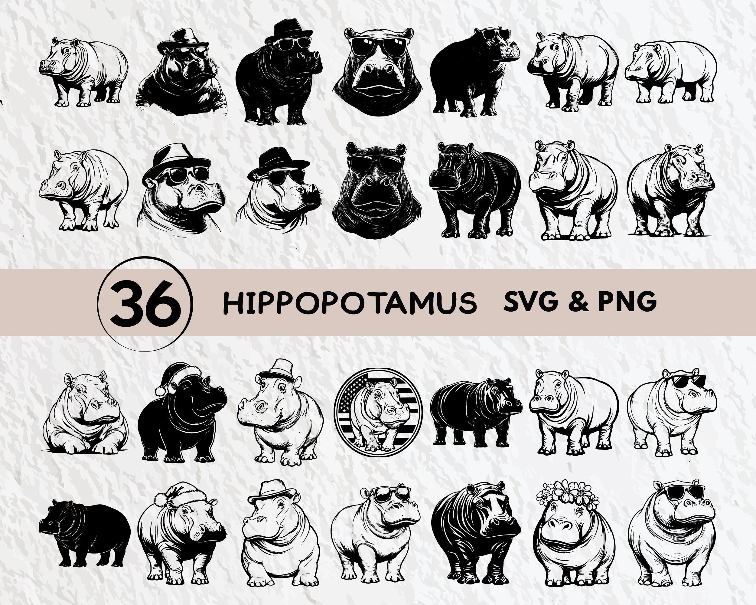 Hippopotamus Svg Bundle, Hippopotamus Silhouette, Hippopotamus Clipart ...